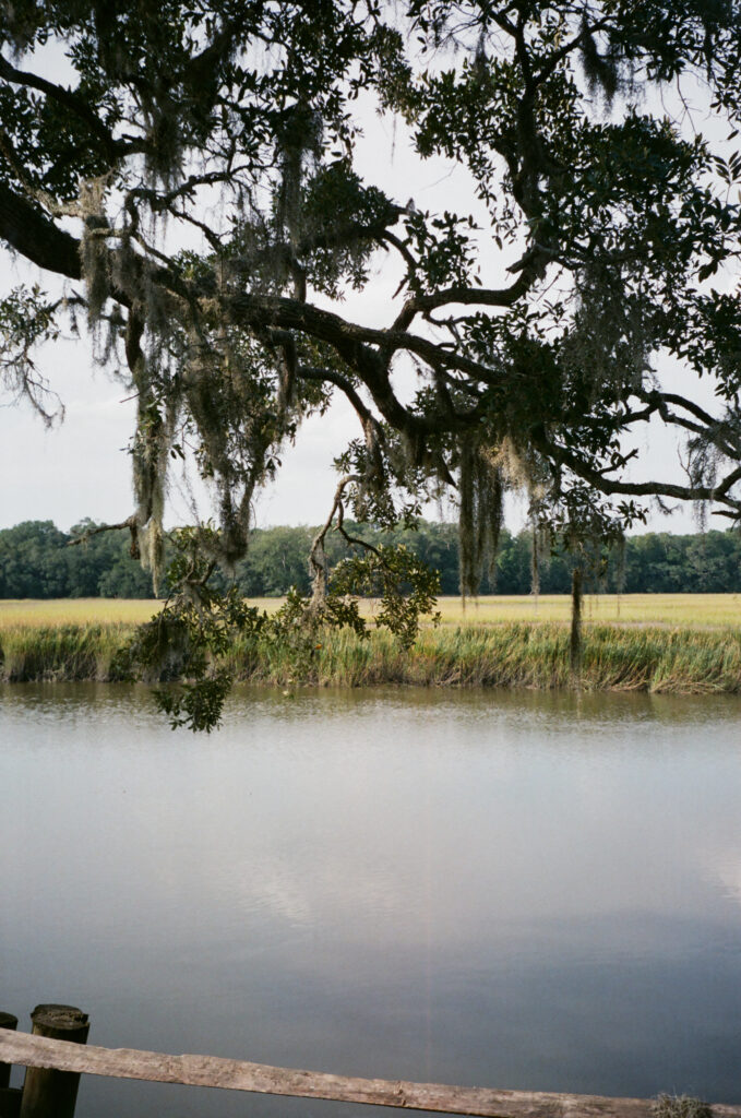 Joanna + Tyler | Intimate Backyard Wedding on Edisto Island